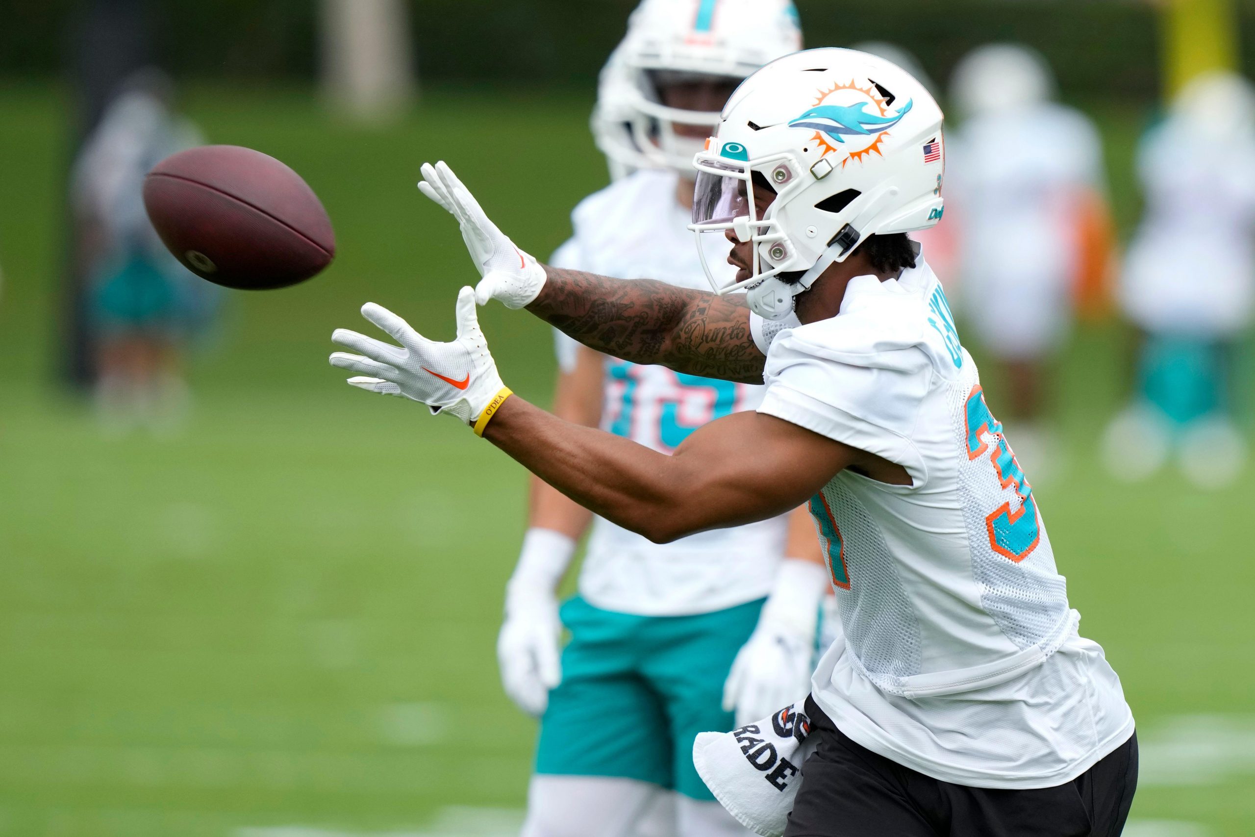 NFL Preseason Week 1 Game Recap: Atlanta Falcons 19, Miami Dolphins 3